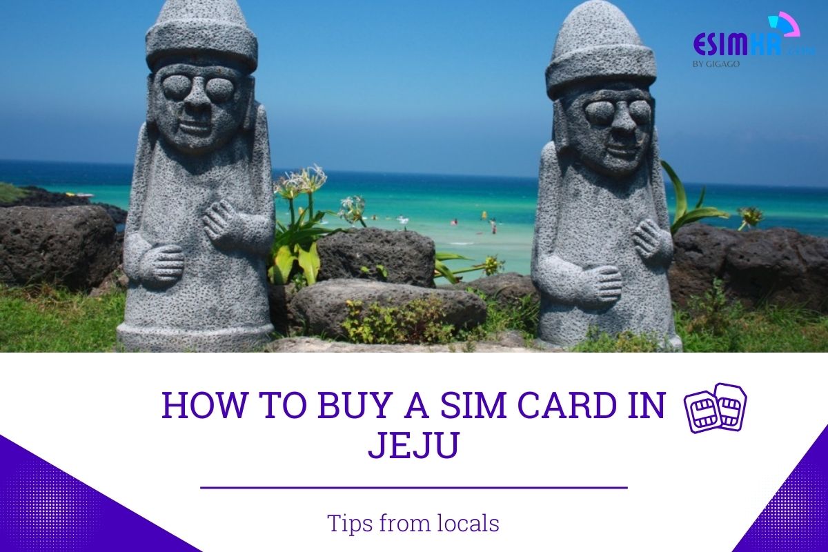 SIM Card In Jeju: Best 2024 Buying Tips from Locals