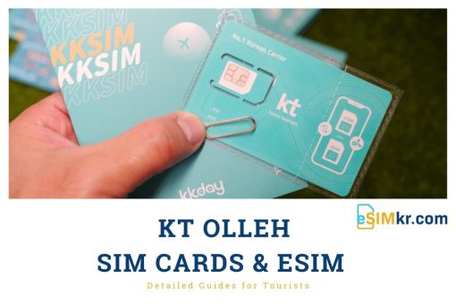 KT Olleh SIM Cards: a Comprehensive Guide for Tourists 2024