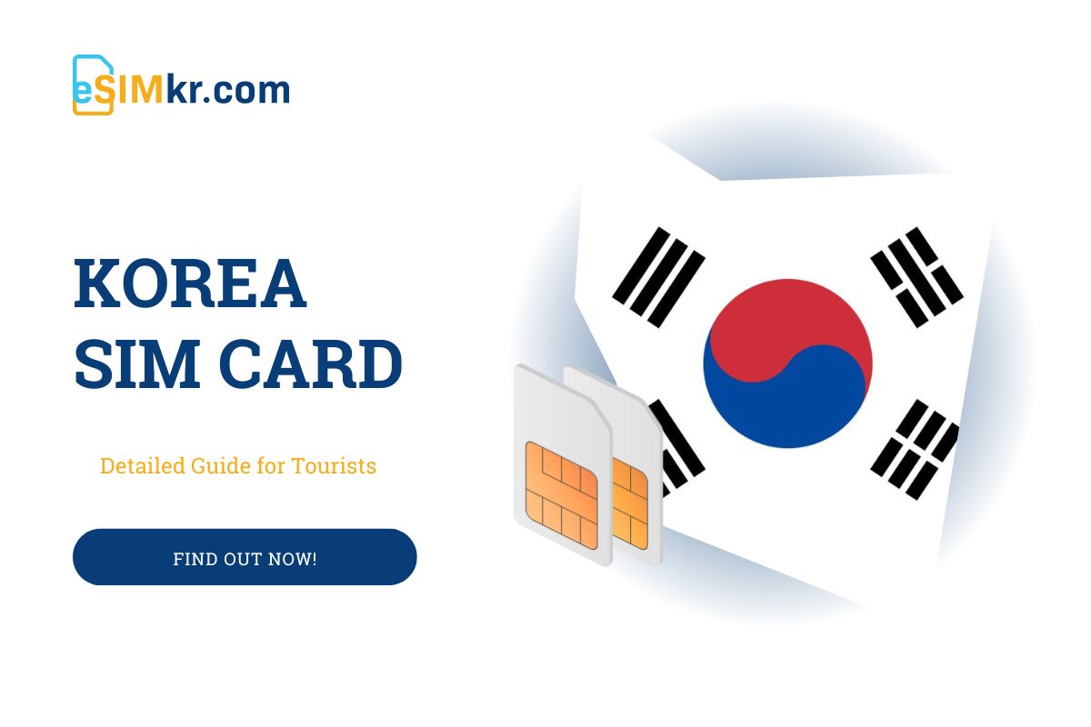 Best SIM Card at Incheon Airport - Definitive Guide 2024